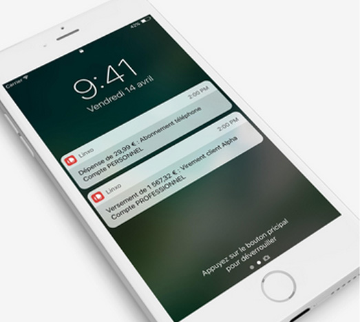 Application « pro/perso » - Linxo | Journal digital